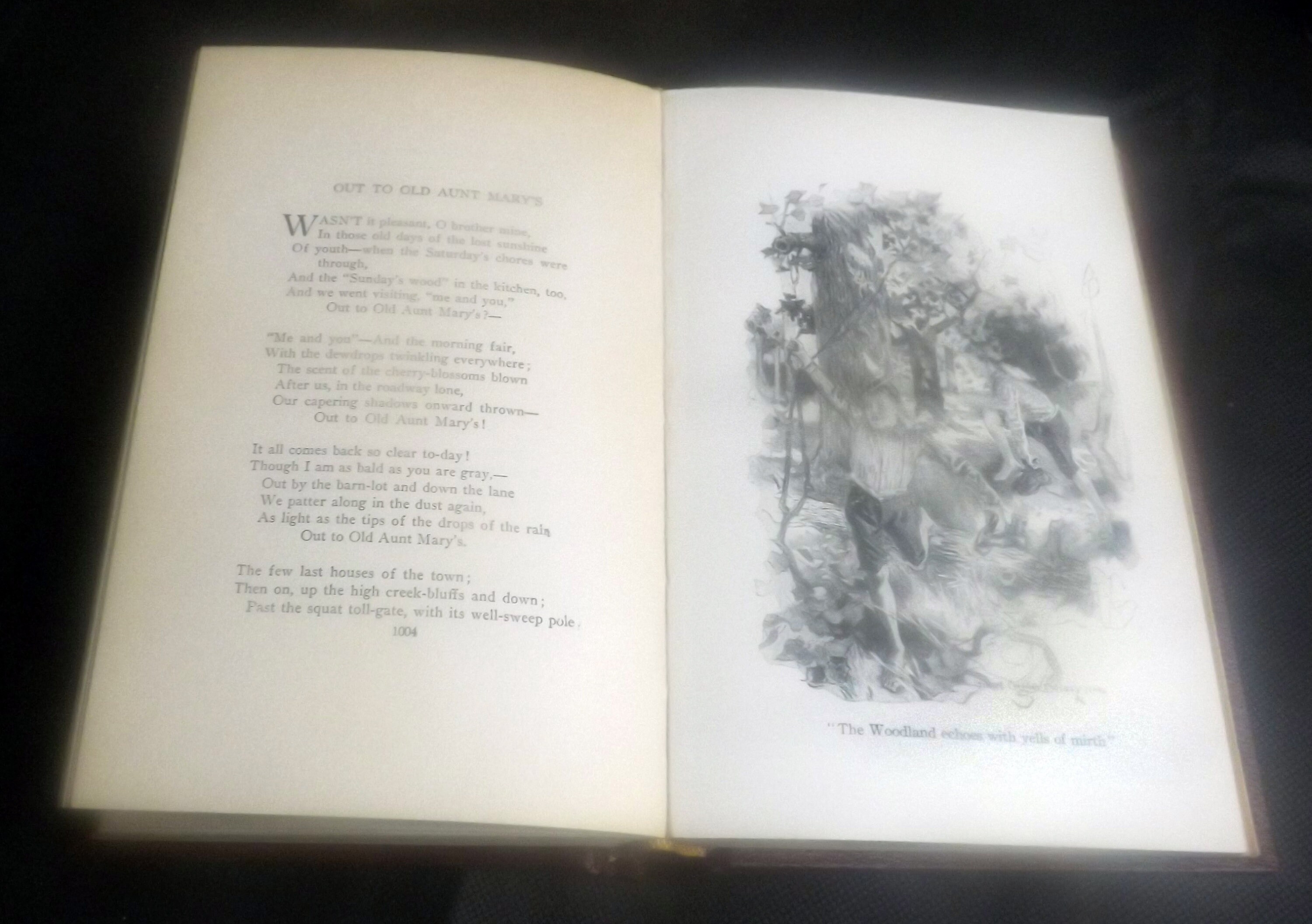 Antique (1916) Complete Works of James Whitcomb Riley Volume IV. Harper ...