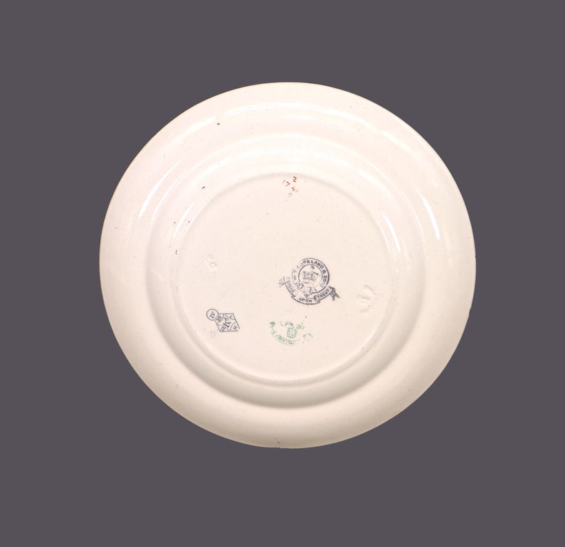 Antique Victorian-age Copeland Spode Primrose Multicolor Starflower ...