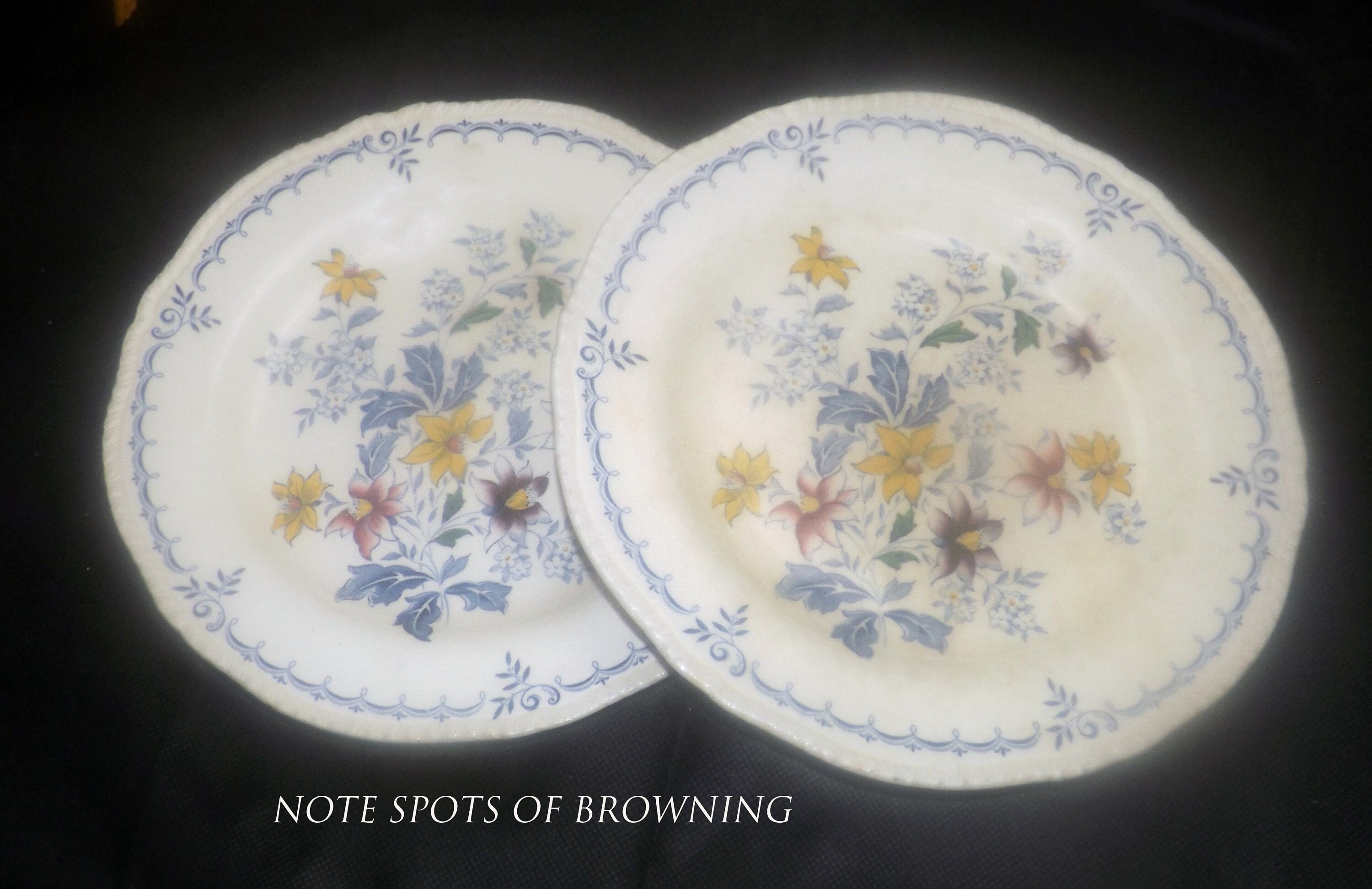 Pair of antique Ridgway Cornwall hand-painted numbered dinner plates ...