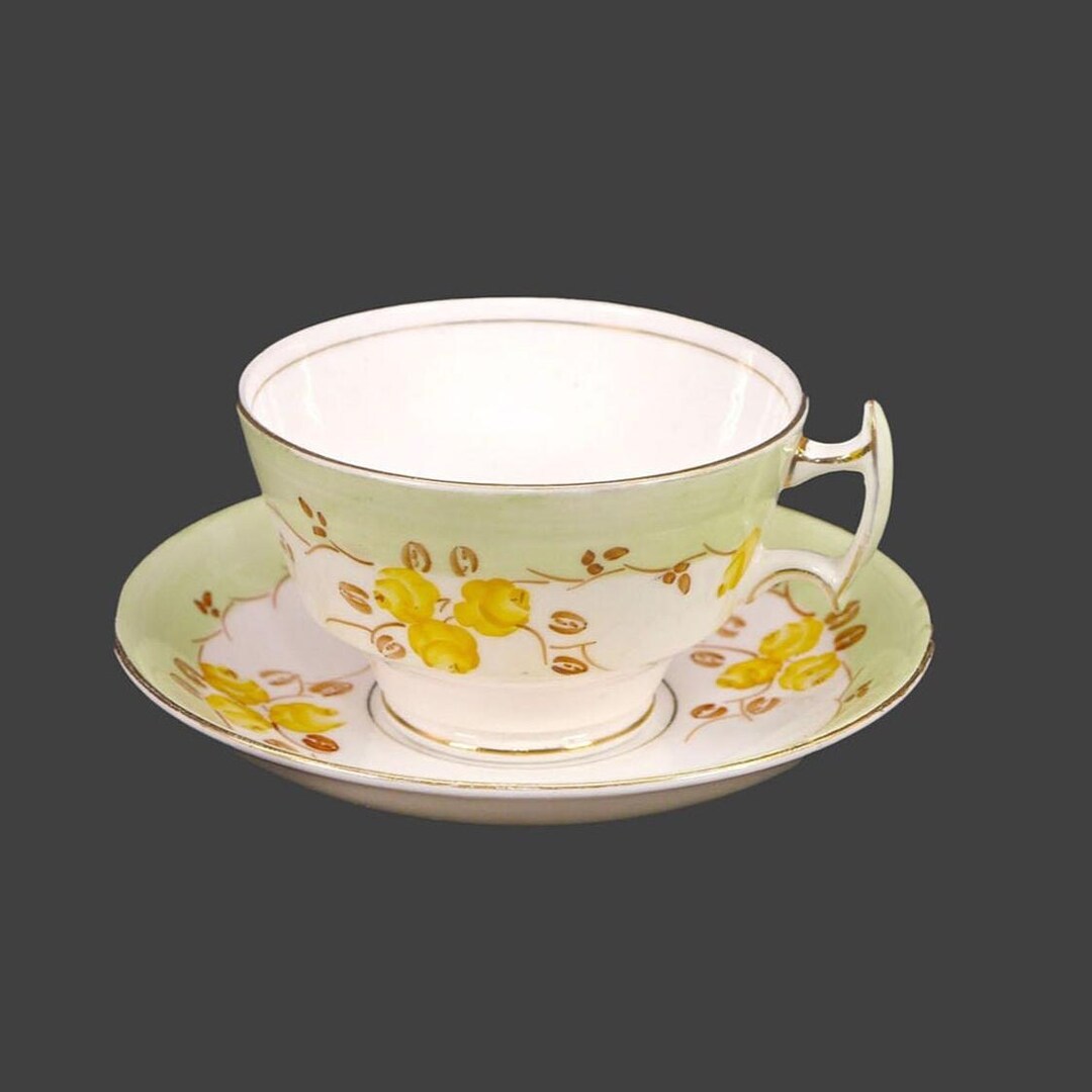 Vintage Phoenix Bone China Cup and Saucer Set: Thomas Forester & Sons ...