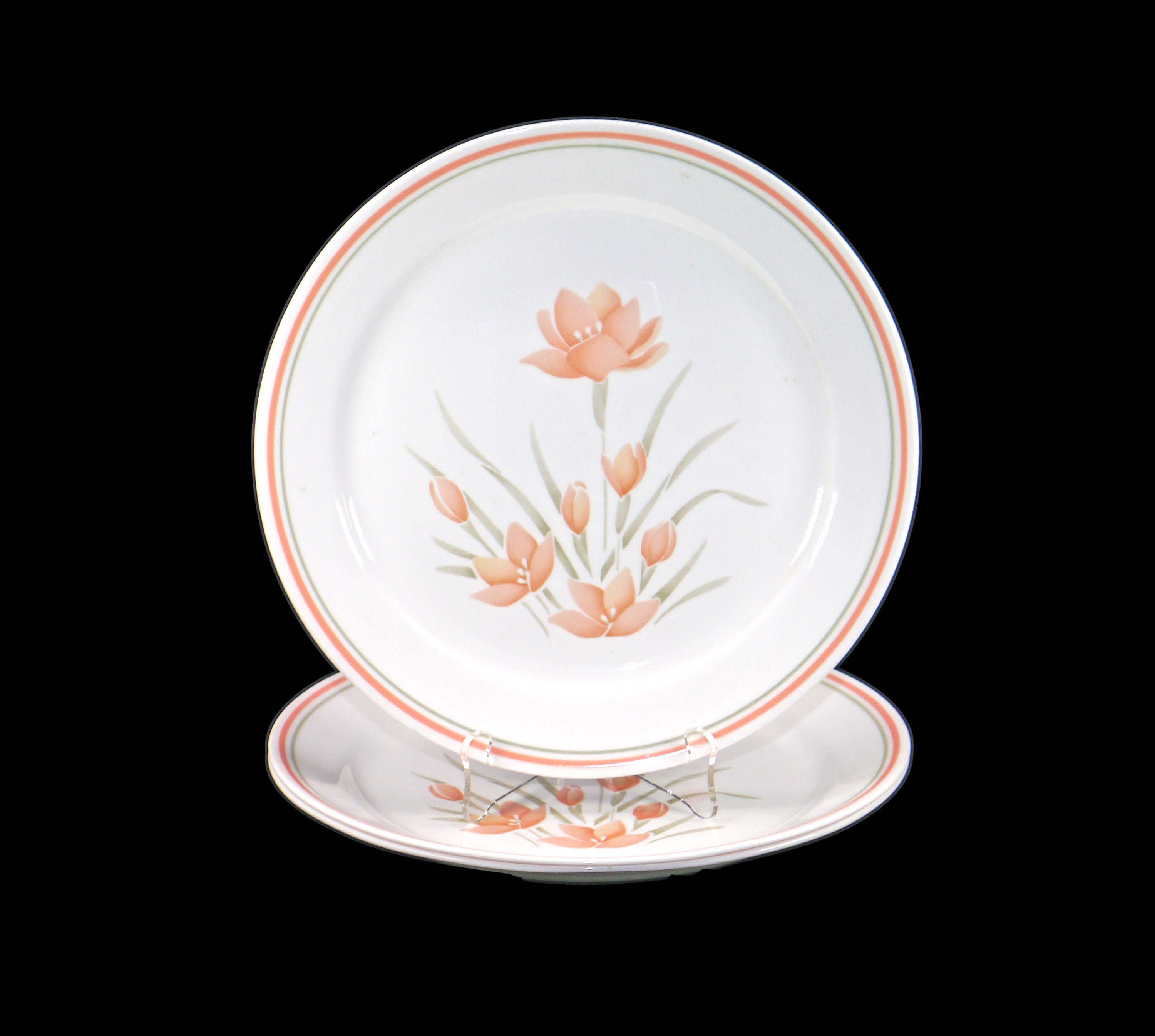 Set of Corelle Corningware Peach Floral dinner plates made in USA ...