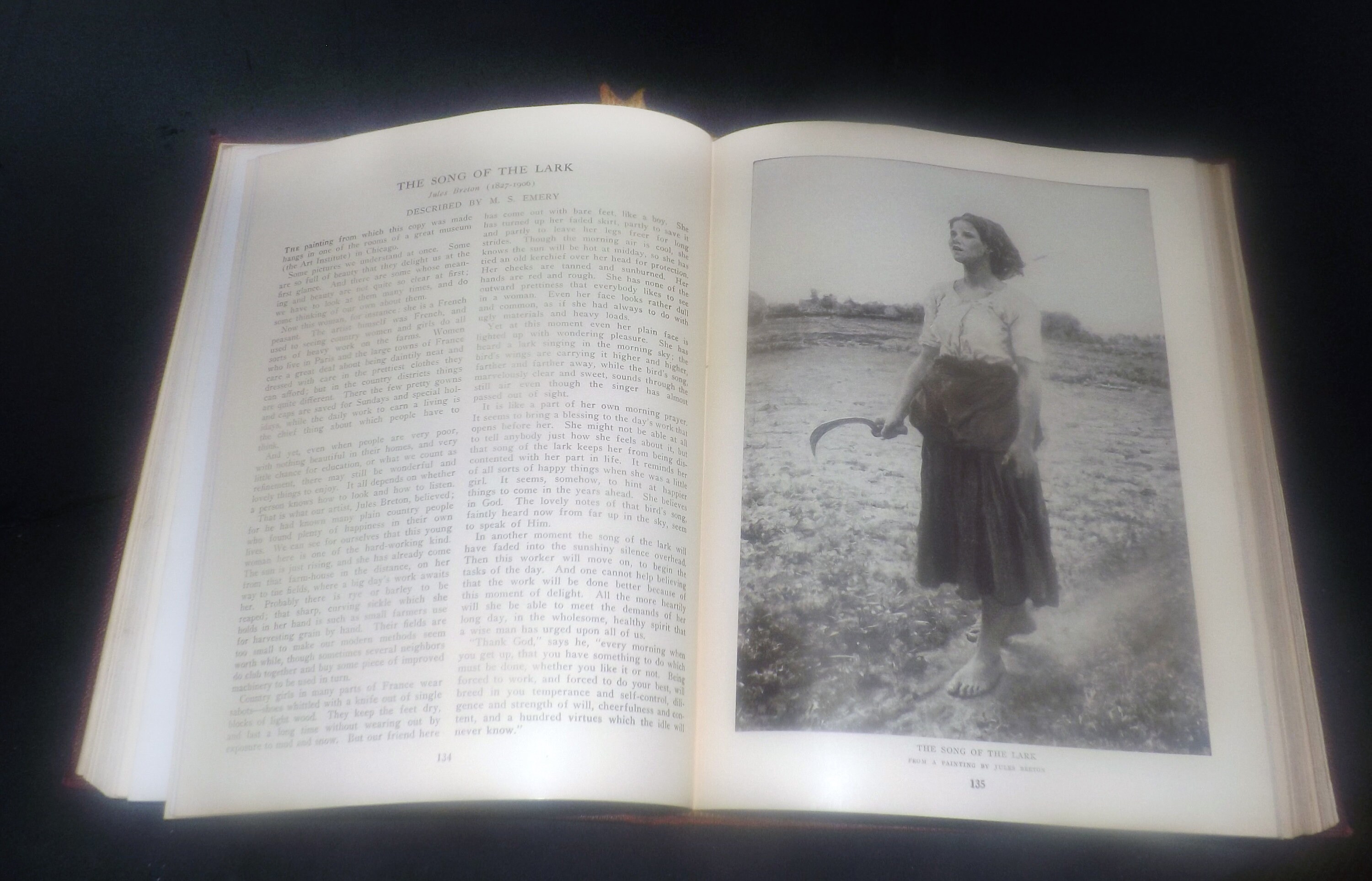Vintage (1930s) hardcover book Volume IV of The Home University ...