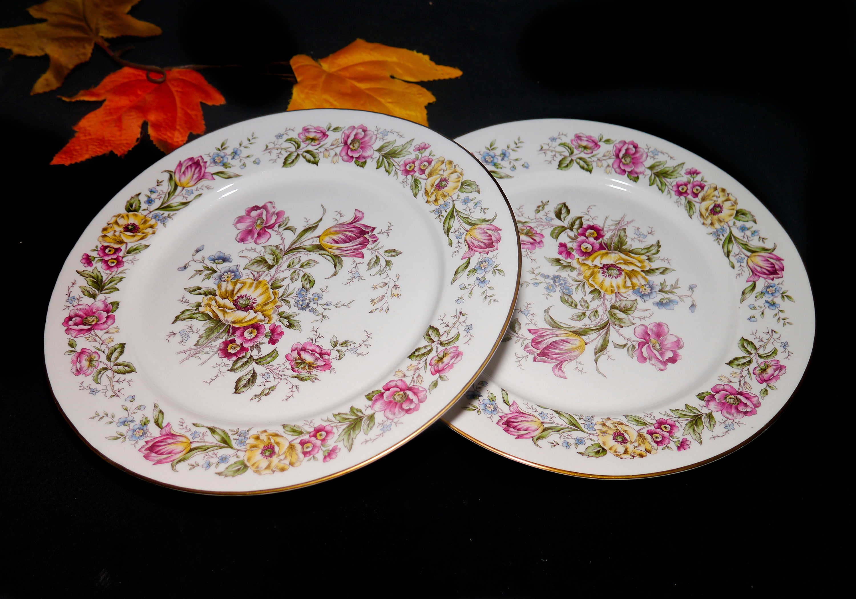 Mid-century Royal Jackson | Jackson China Co Lady Mayfair large dinner ...