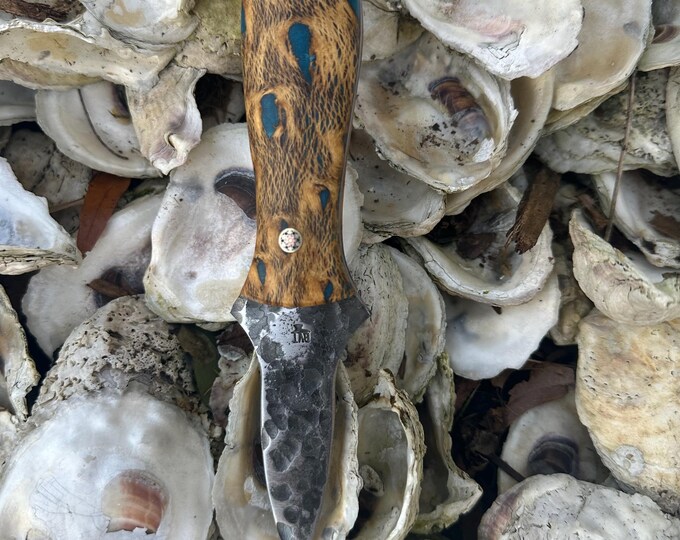 BVT Custom Oyster Knife-cholla Wood in Resin - Etsy