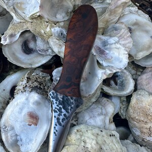 BVT Custom Oyster Knife - Etsy