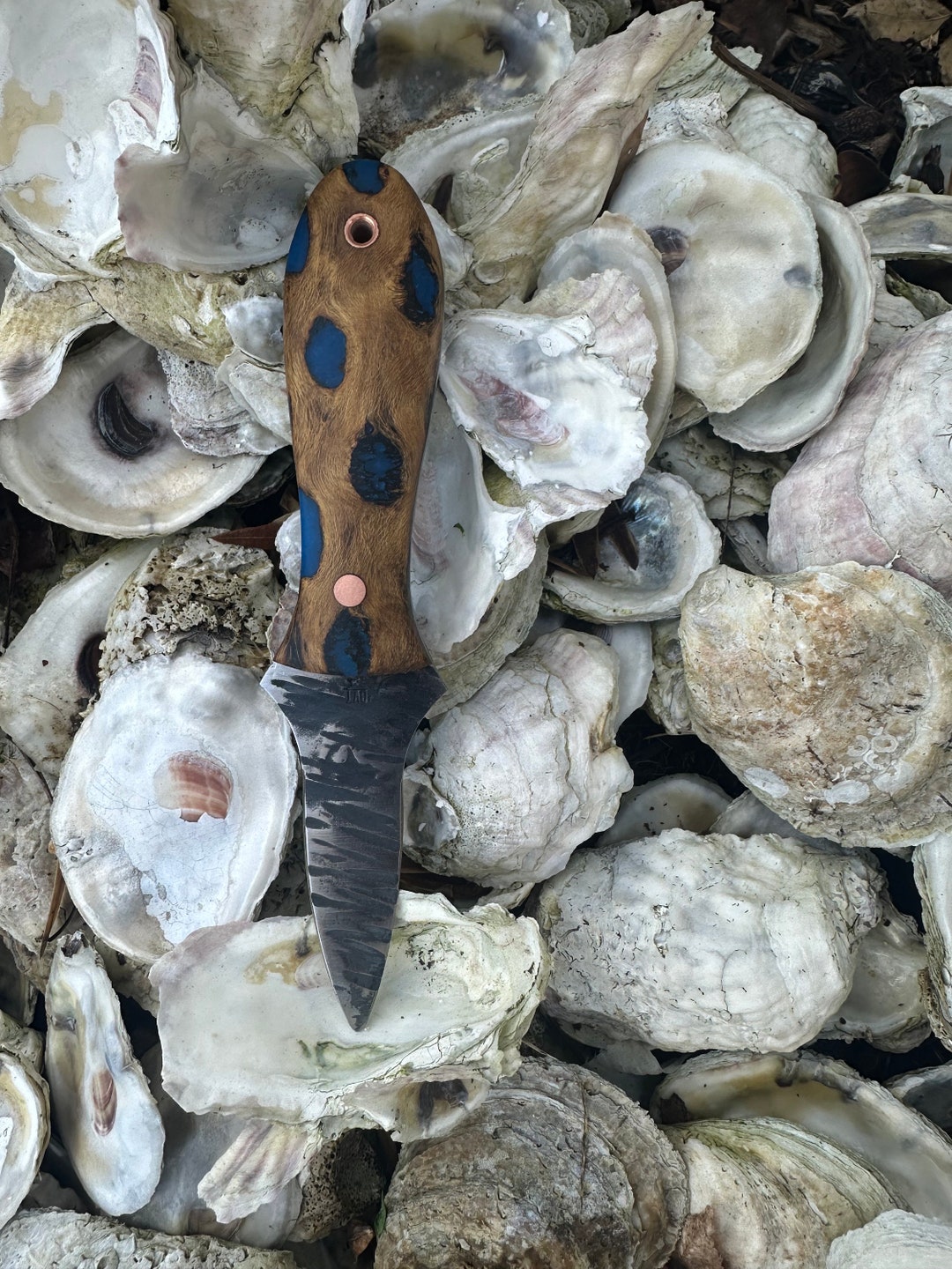 BVT Custom Oyster Knife-cholla Wood in Resin - Etsy
