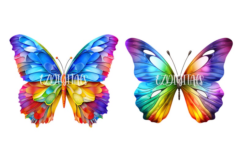 Rainbow Butterflies Clipart - Cartoon Butterfly - Transparent PNG - Set ...