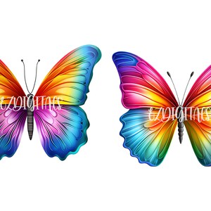 Rainbow Butterflies Clipart - Cartoon Butterfly - Transparent PNG - Set ...