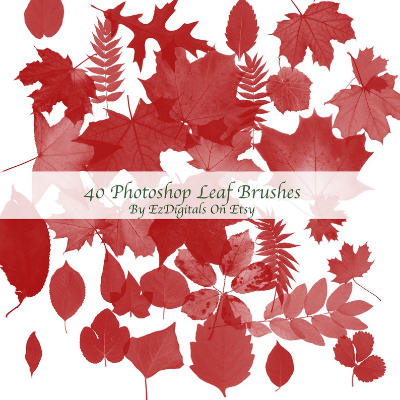 Photoshop Leaf Brushes, Photoshop Brush Set, Photoshop Leaves, Leaves ...