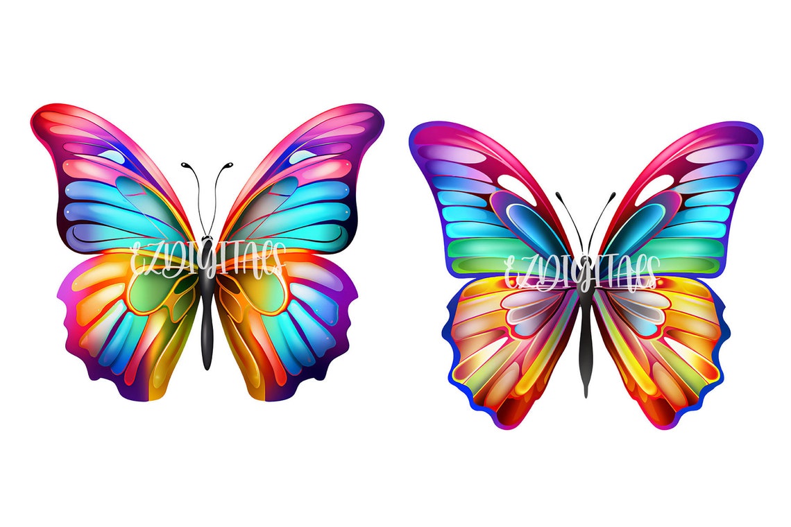 Rainbow Butterflies Clipart - Cartoon Butterfly - Transparent PNG - Set ...