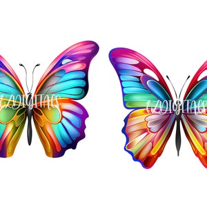 Rainbow Butterflies Clipart - Cartoon Butterfly - Transparent PNG - Set ...