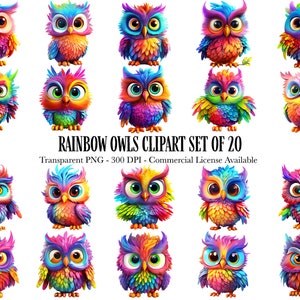 Rainbow Owl Clipart - Cartoon Owls - Transparent PNG - Set of 20 ...