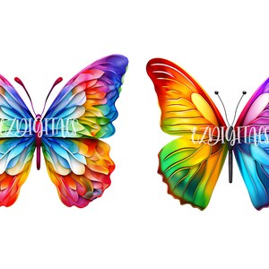 Rainbow Butterflies Clipart - Cartoon Butterfly - Transparent PNG - Set ...