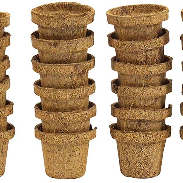 Peat Pot - Etsy