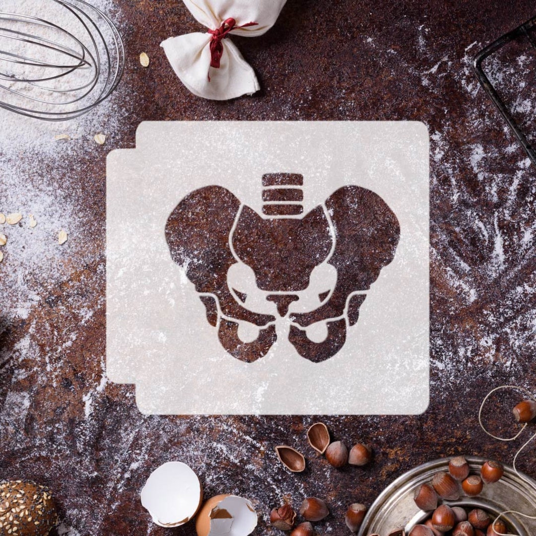 Pelvic Bone 783-H193 Stencil - Etsy