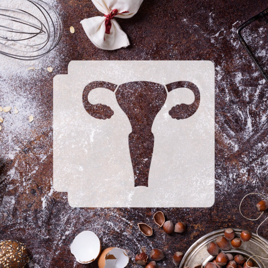 Uterus 783-C840 Stencil - Etsy