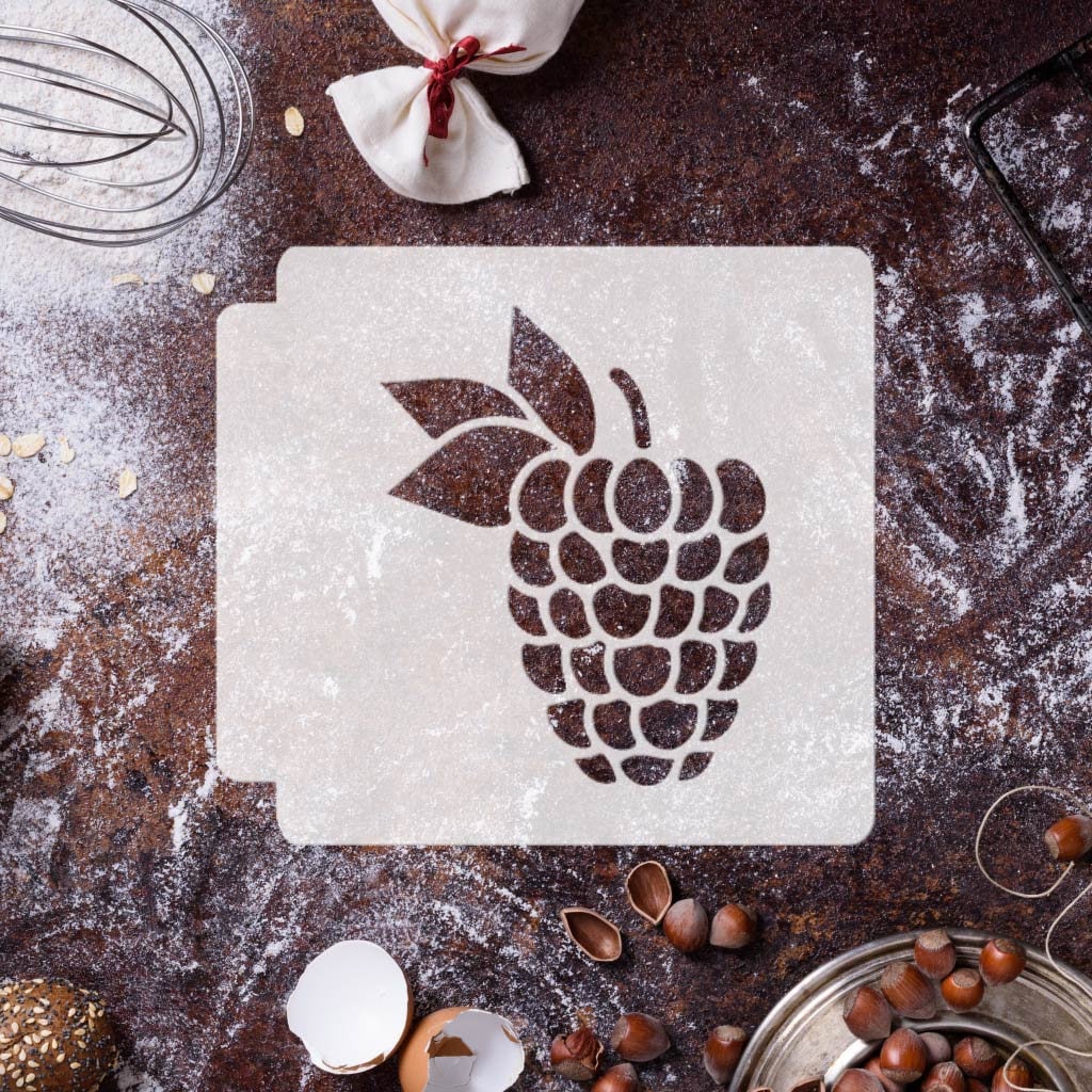 Raspberry 783-D496 Stencil - Etsy