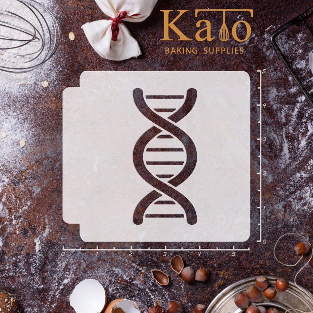 DNA Strand 783-B766 Stencil - Etsy