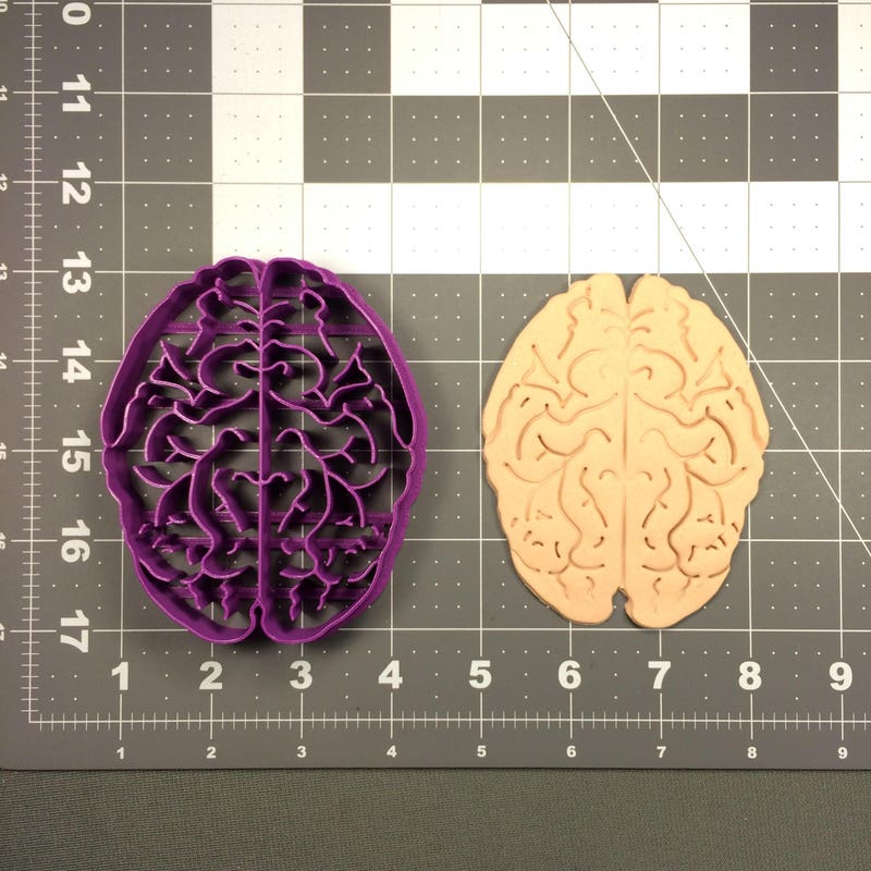Brain Candy Mold - Etsy