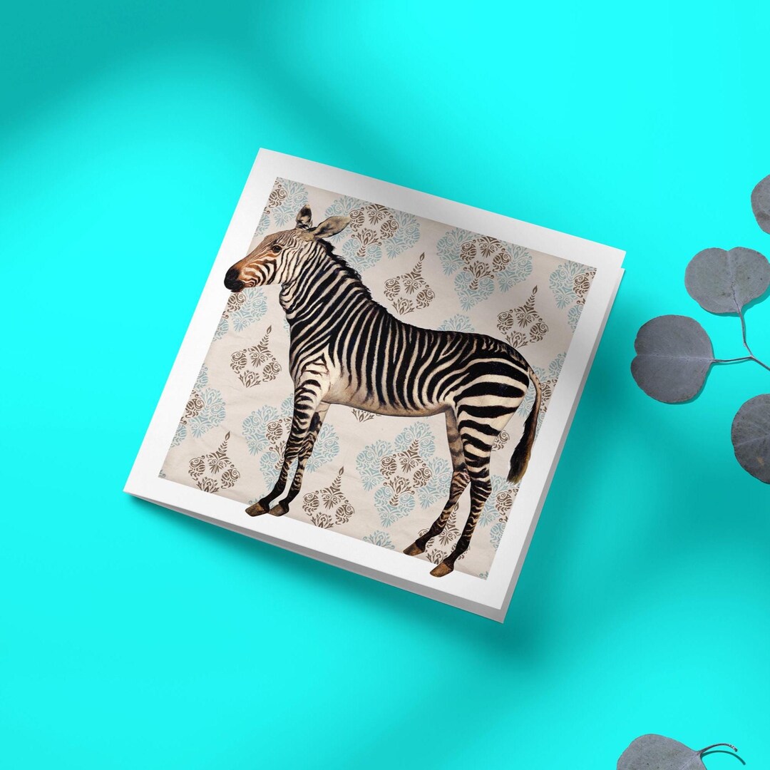 Zebra Greeting Card – Birthday, Thank You or All Occasion Card - Etsy