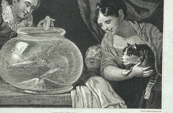 Antique 1820 Regency Cat and Goldfish Print Black and White - Etsy