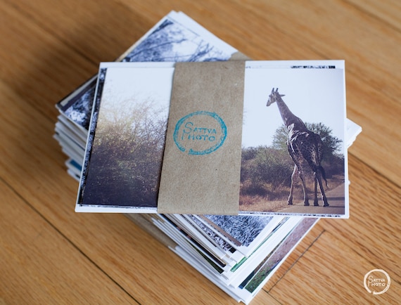 African Animal Notecards Homemade Greeting Cards Homemade | Etsy