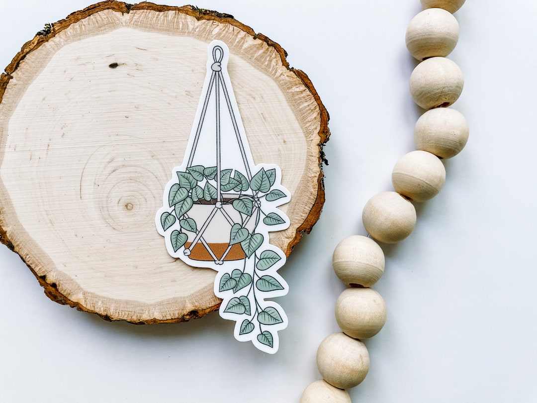 Plant Stickers | Hanging Plant Sticker | Plants | Plant Mom | Sticker ...