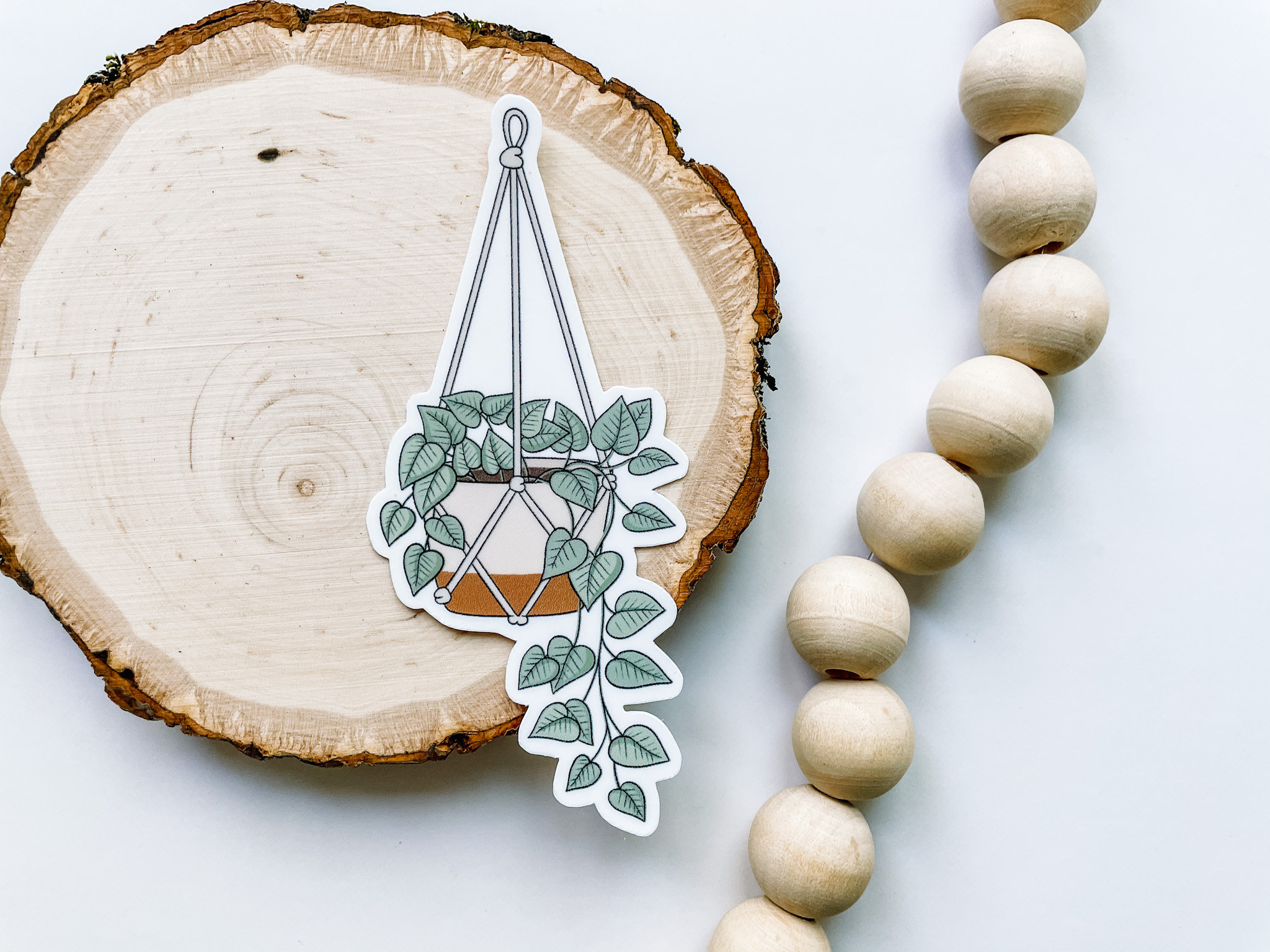 Plant Stickers | Hanging Plant Sticker | Plants | Plant Mom | Sticker ...