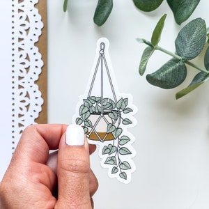Plant Stickers | Hanging Plant Sticker | Plants | Plant Mom | Sticker ...