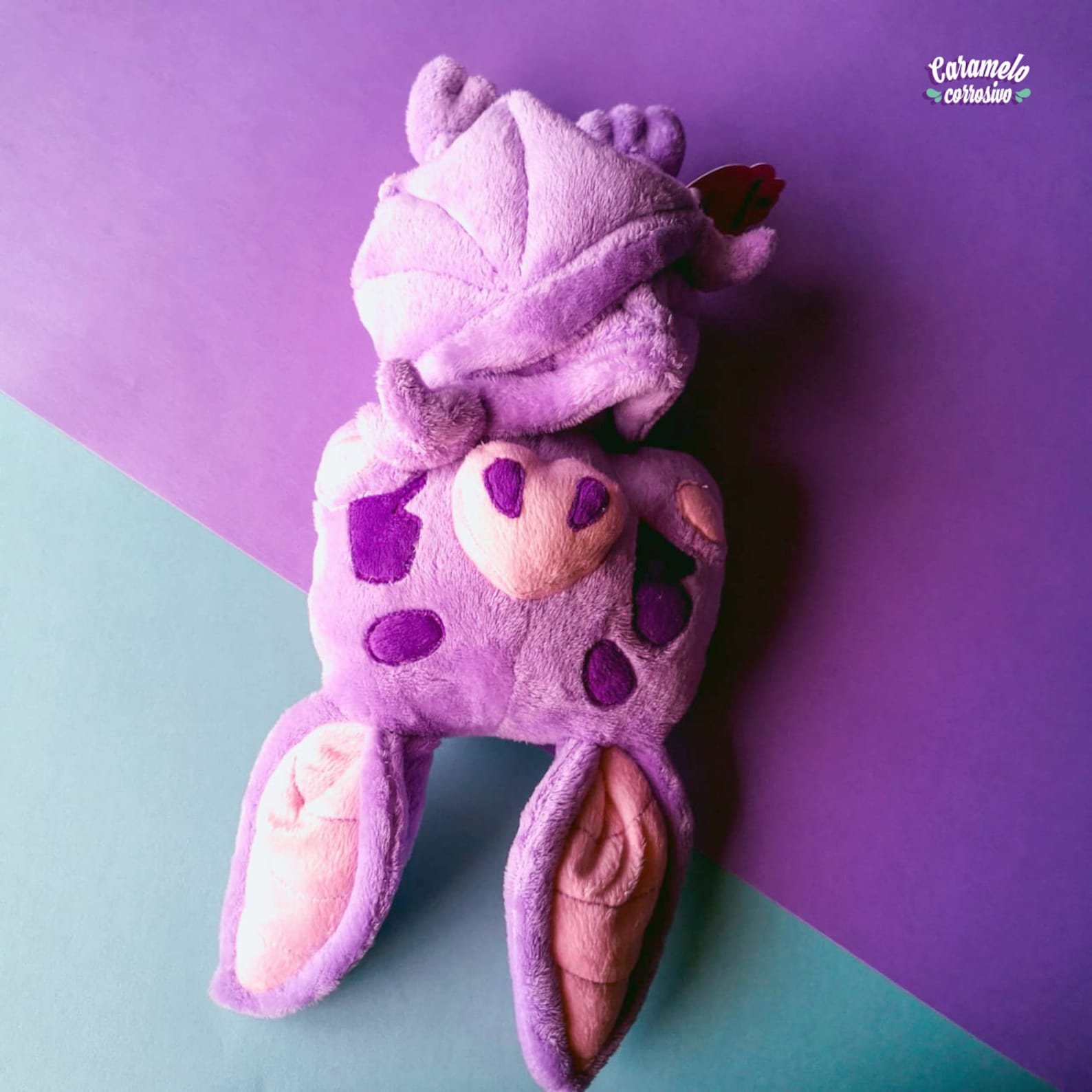 Wampy Bat Plush Pack - Etsy