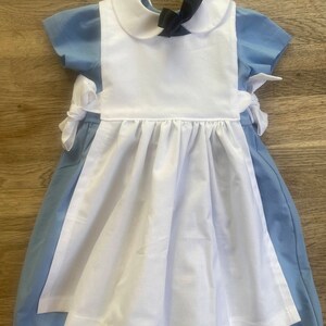 Alice in Wonderland Inspired Dress Set: Vintage Blue Dress & Pinafore ...