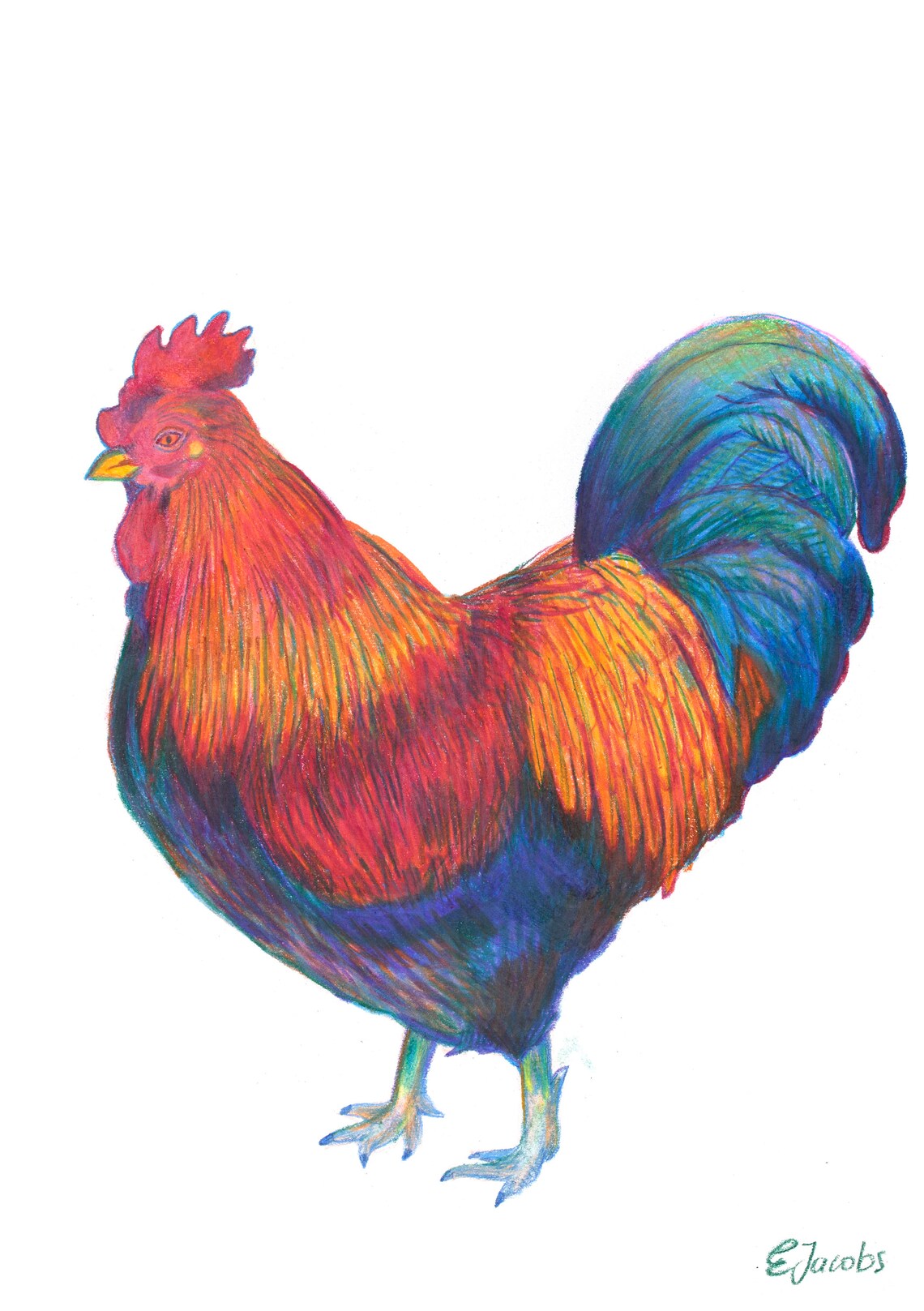 Cockerel Print - Chicken Print - Hen Print - Hen Gift - Hen Wall Art ...