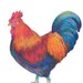 Cockerel Print - Chicken Print - Hen Print - Hen Gift - Hen Wall Art ...