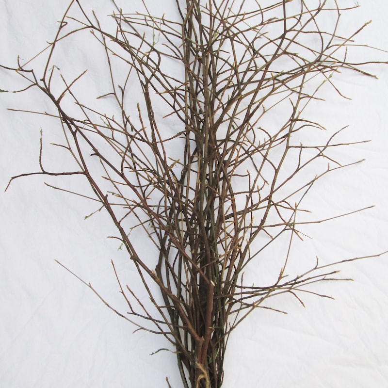 Twigs Sculpting - Etsy UK