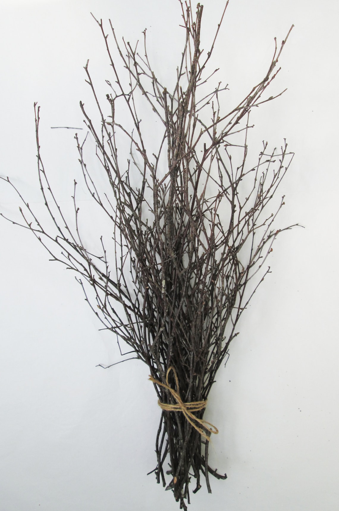 Natural Eco Dried Birch Branch Bundle Bunch Birch Branches - Etsy UK