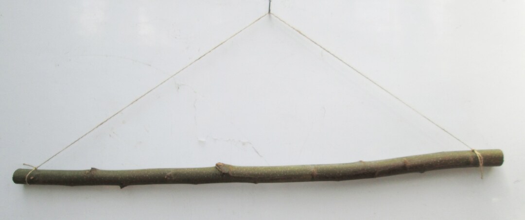 English SWEET CHESTNUT Natural Tree Branch Stick Rustic Weaving Macramé ...