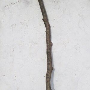 115cm BEECH Natural Tree Crooked Branch Stick for Wood Turning Wand ...