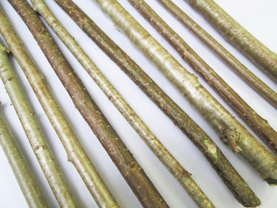 10 X 40cm Natural Hazel Ogham Stave Wood Branches Sticks Bark | Etsy