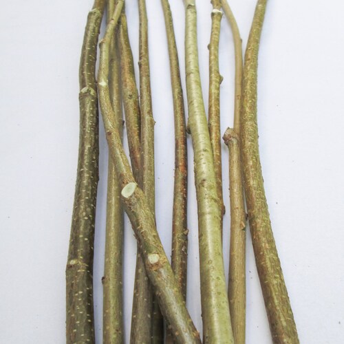 10 X 90cm Long Straight Natural Hazel Wood Branches Sticks | Etsy UK