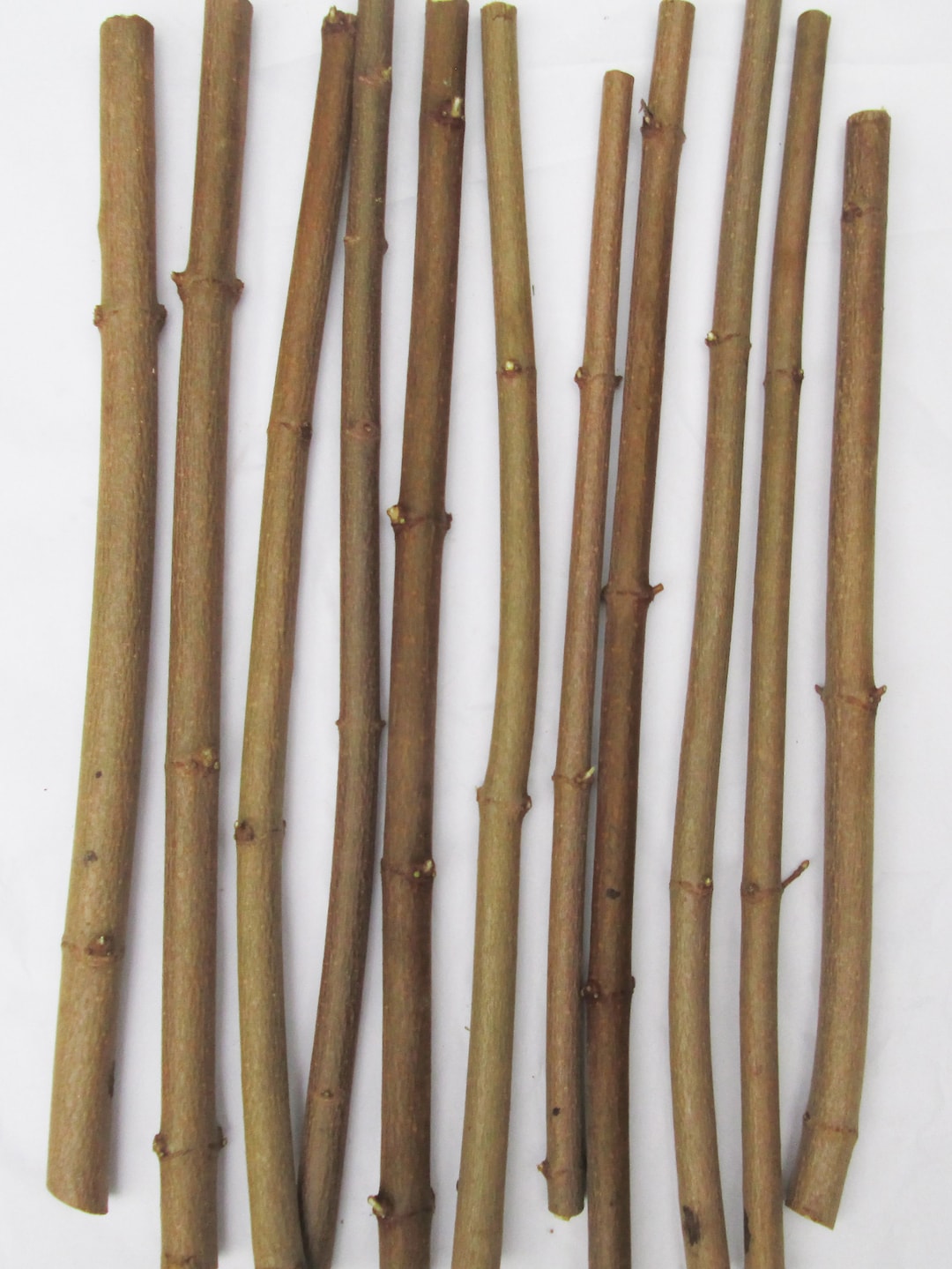 10 X 40cm Natural Sycamore Sticks – Ogham Staves, Wand Making ...