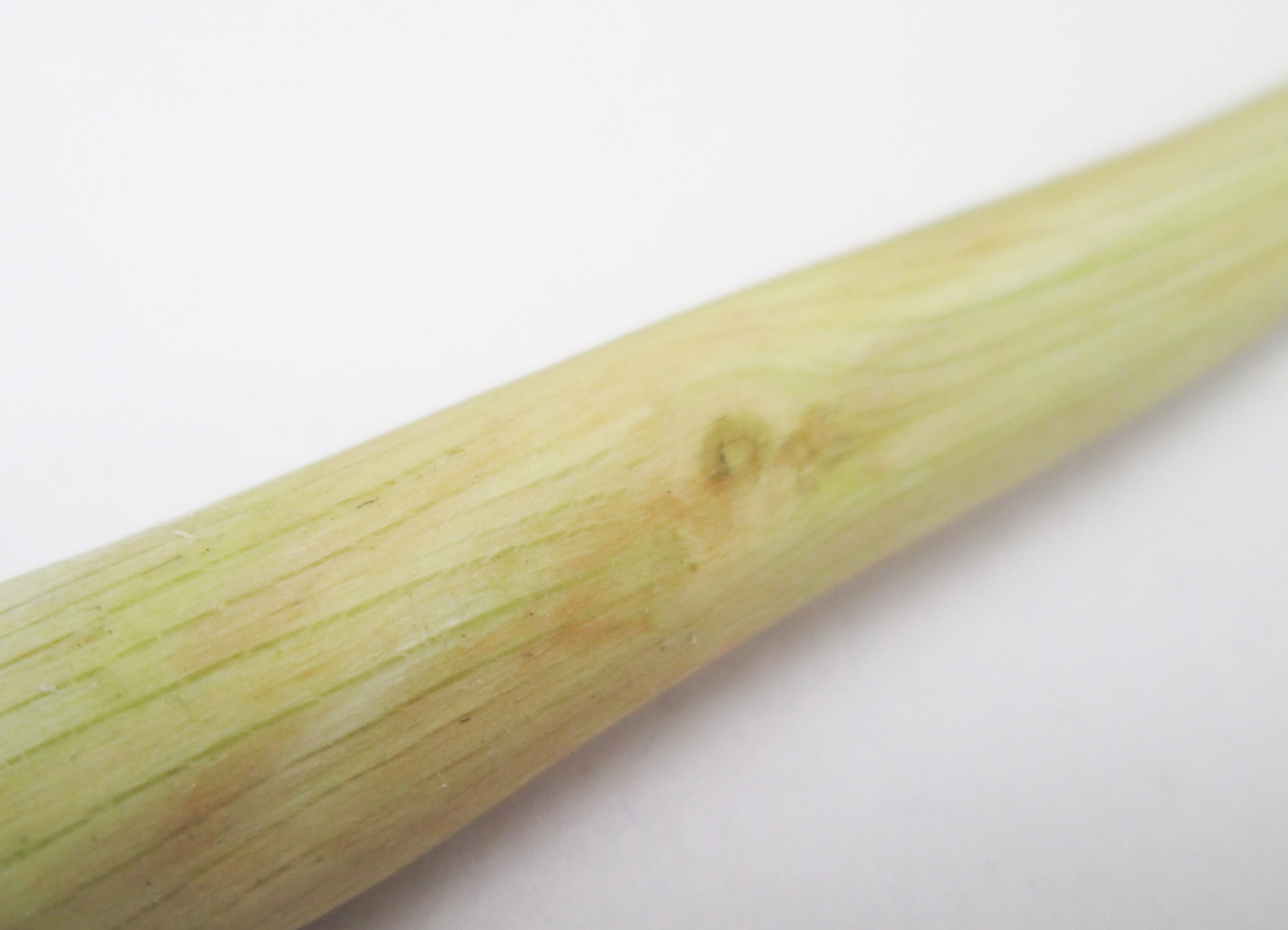 Traditional Handmade English Beech Hand Carved Rustic Wood - Etsy UK