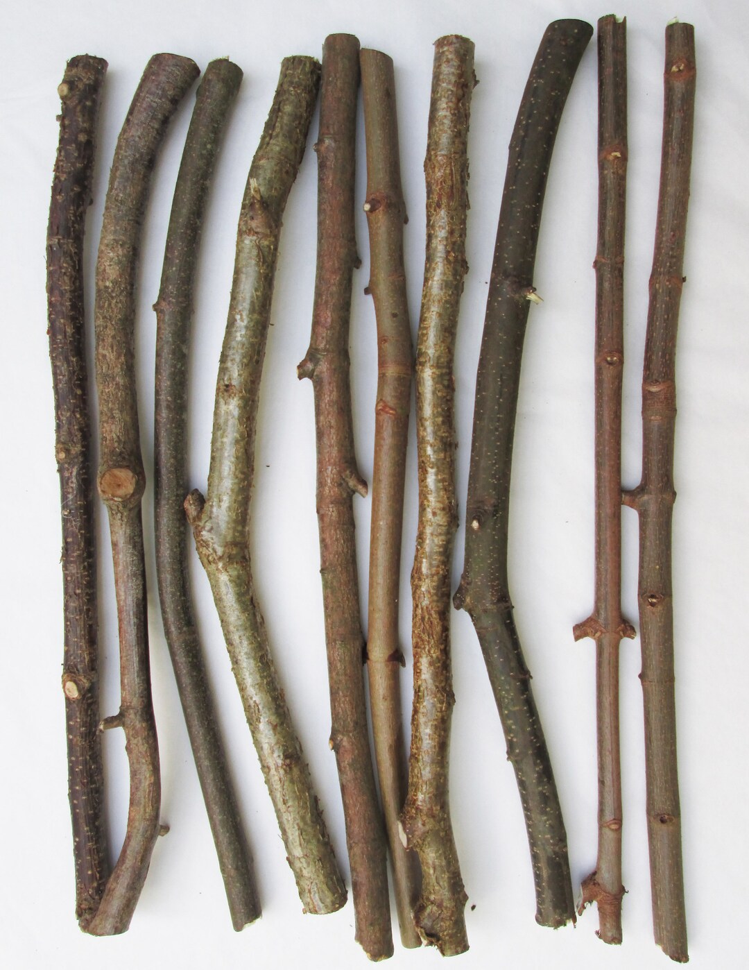 10 X THICK 2 - 3cm Diameter 40CM Mix Variety Natural Branches Stick ...