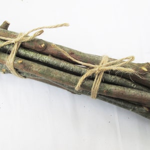 10 X 35cm Natural Crooked BEECH Ogham Stave Twig Stick Bark Branches ...