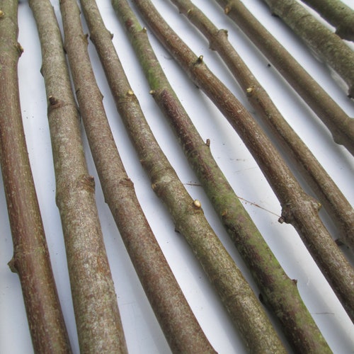 10 X 90cm Long Straight Natural Hazel Wood Branches Sticks | Etsy UK