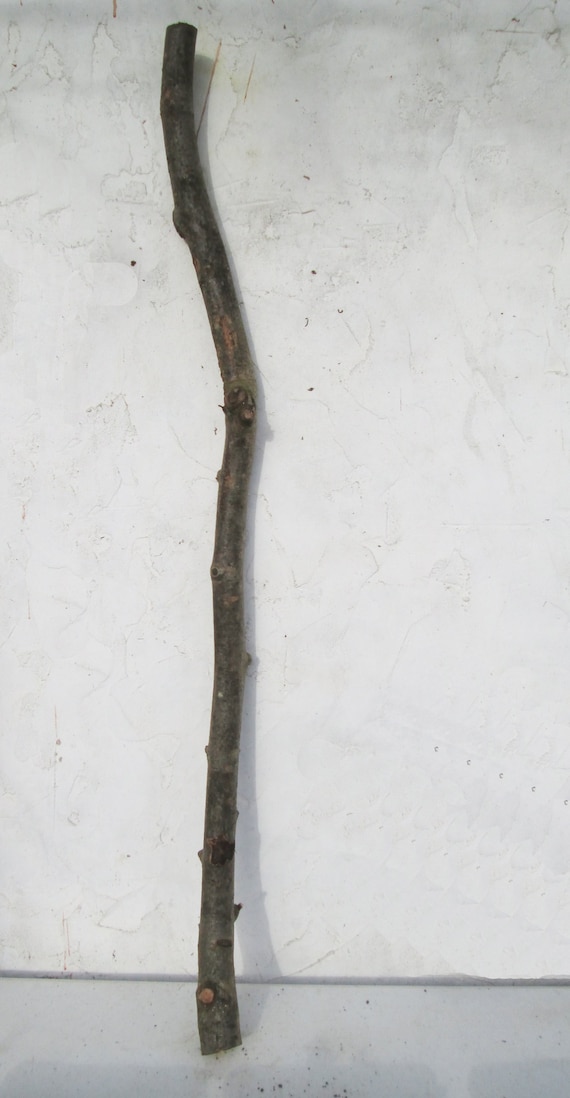 Wooden Stick Branch