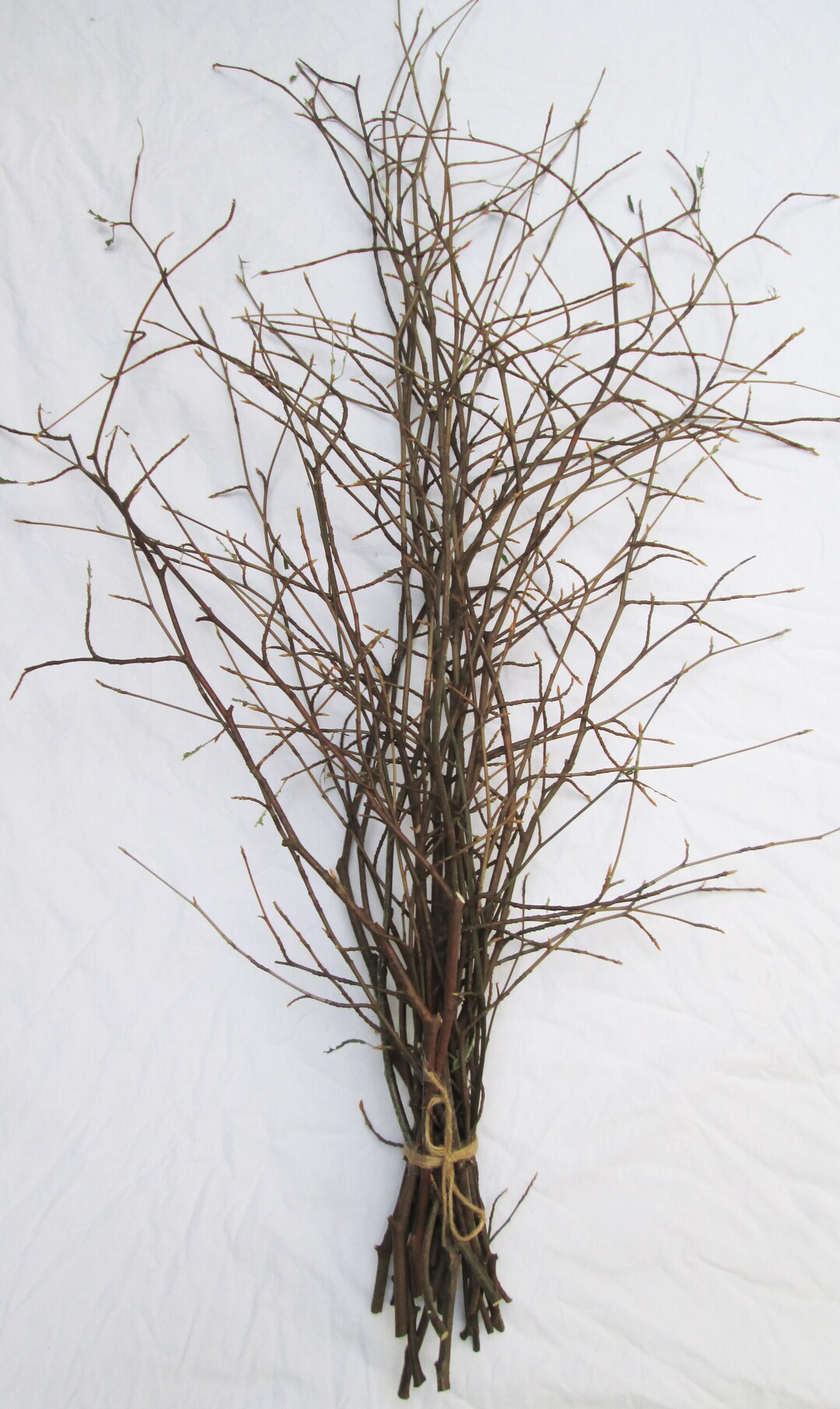 Tall 90cm Natural Beech & Hornbeam Twig Bundle – Eco Rustic Branches ...