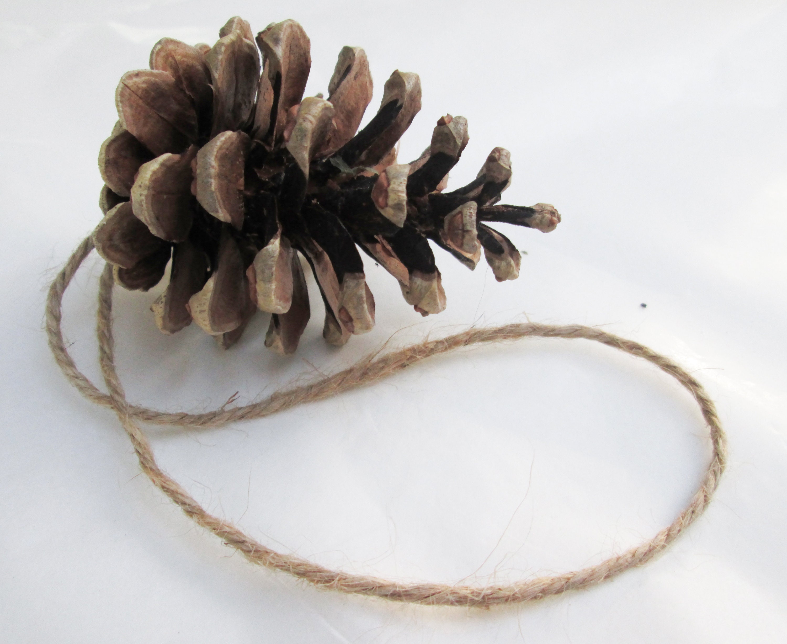 6 Natural Sustainable Eco Friendly Organic Biodegradable Xmas Christmas ...