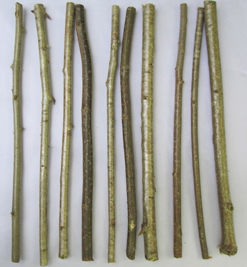 10 X 40cm Natural Hazel Ogham Stave Wood Branches Sticks Bark - Etsy