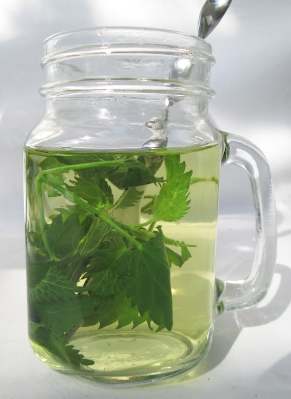 Stinging Nettle Herbal Remedies Andrew Weil,, 49% OFF