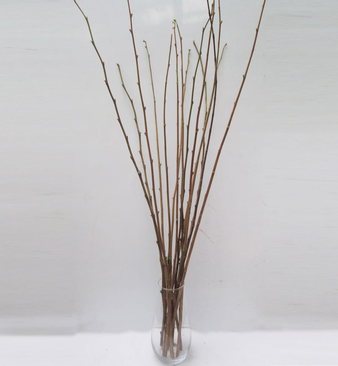 15 X 100cm Long Natural Hazel Wood Sticks Bark Wood Whips Withies for ...